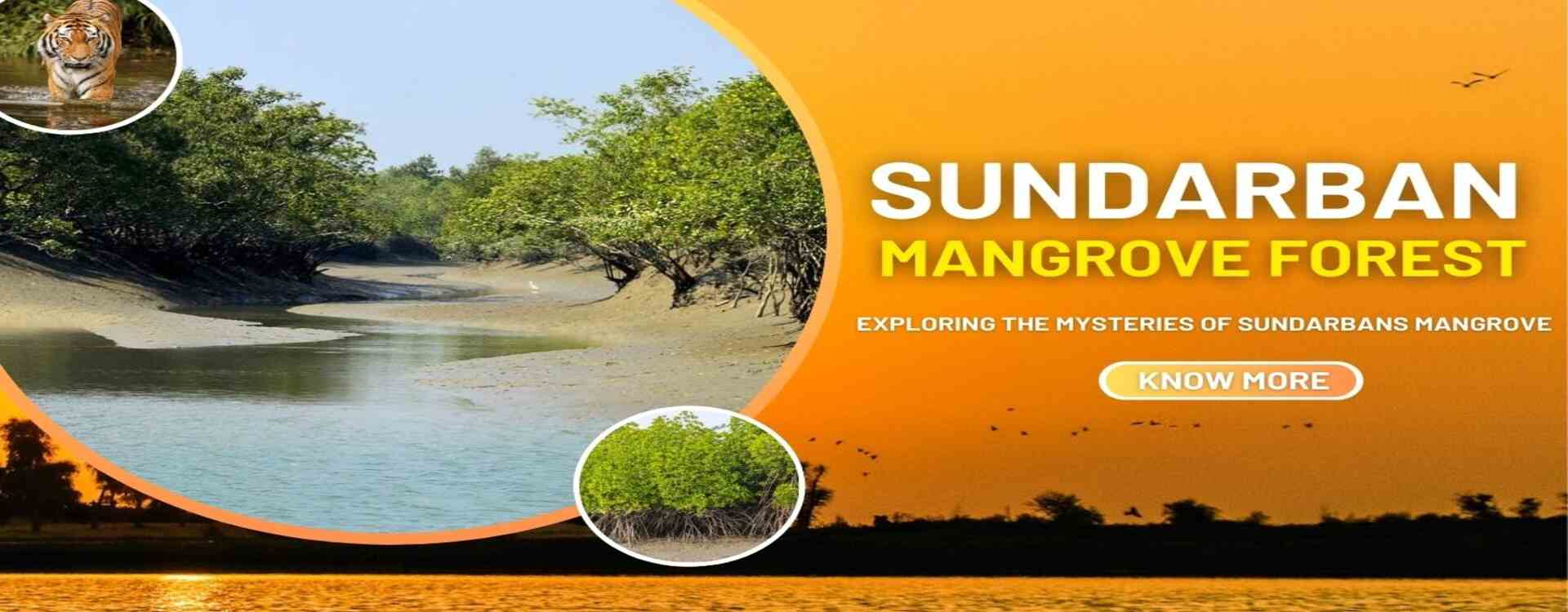 Sundarban Matla Tourism